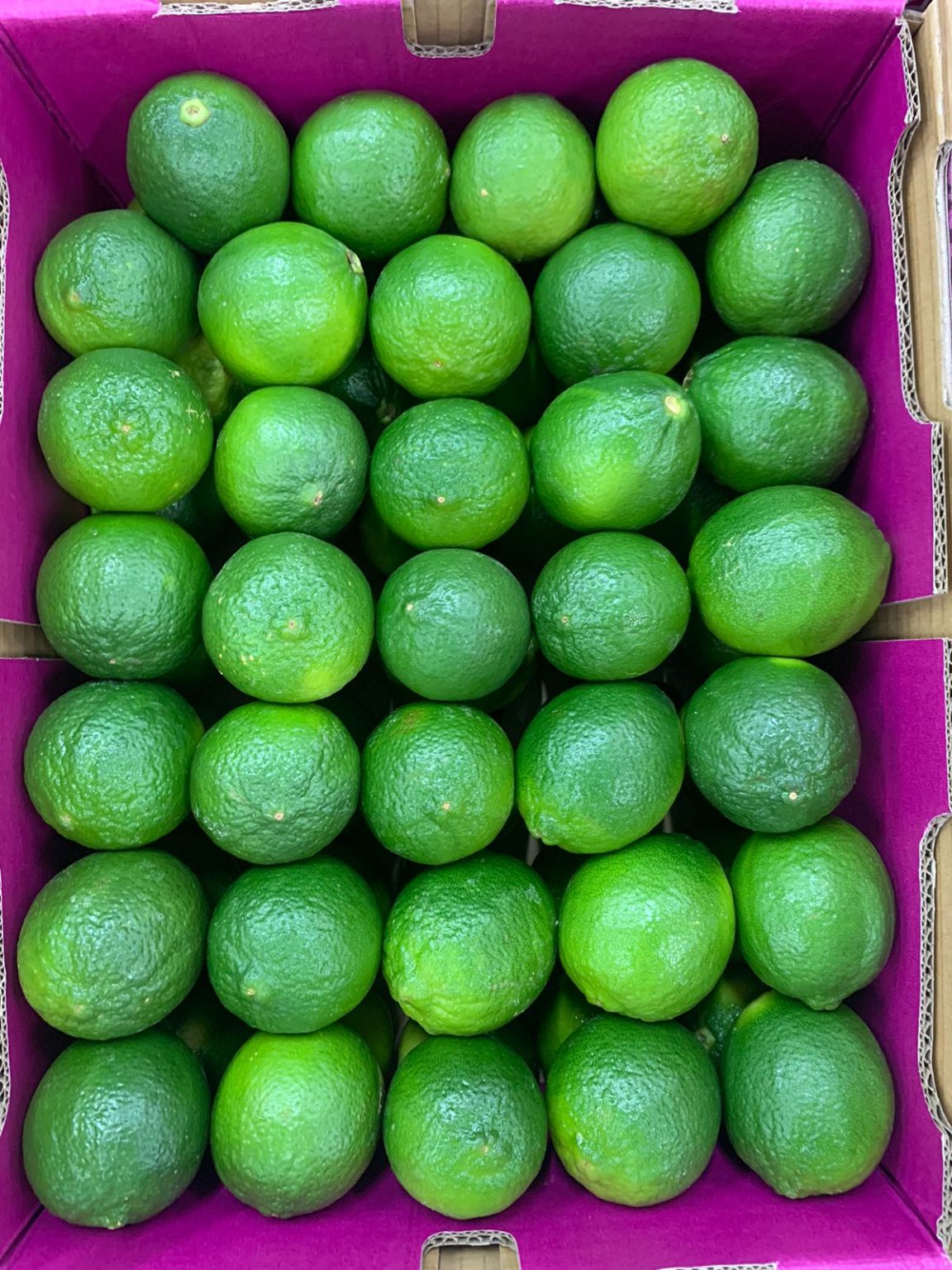 BIO FRUIT COOP – Let's bring Vietnamese fresh produce to the World!